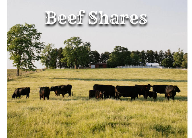 Products – Legacy Ranch American Wagyu